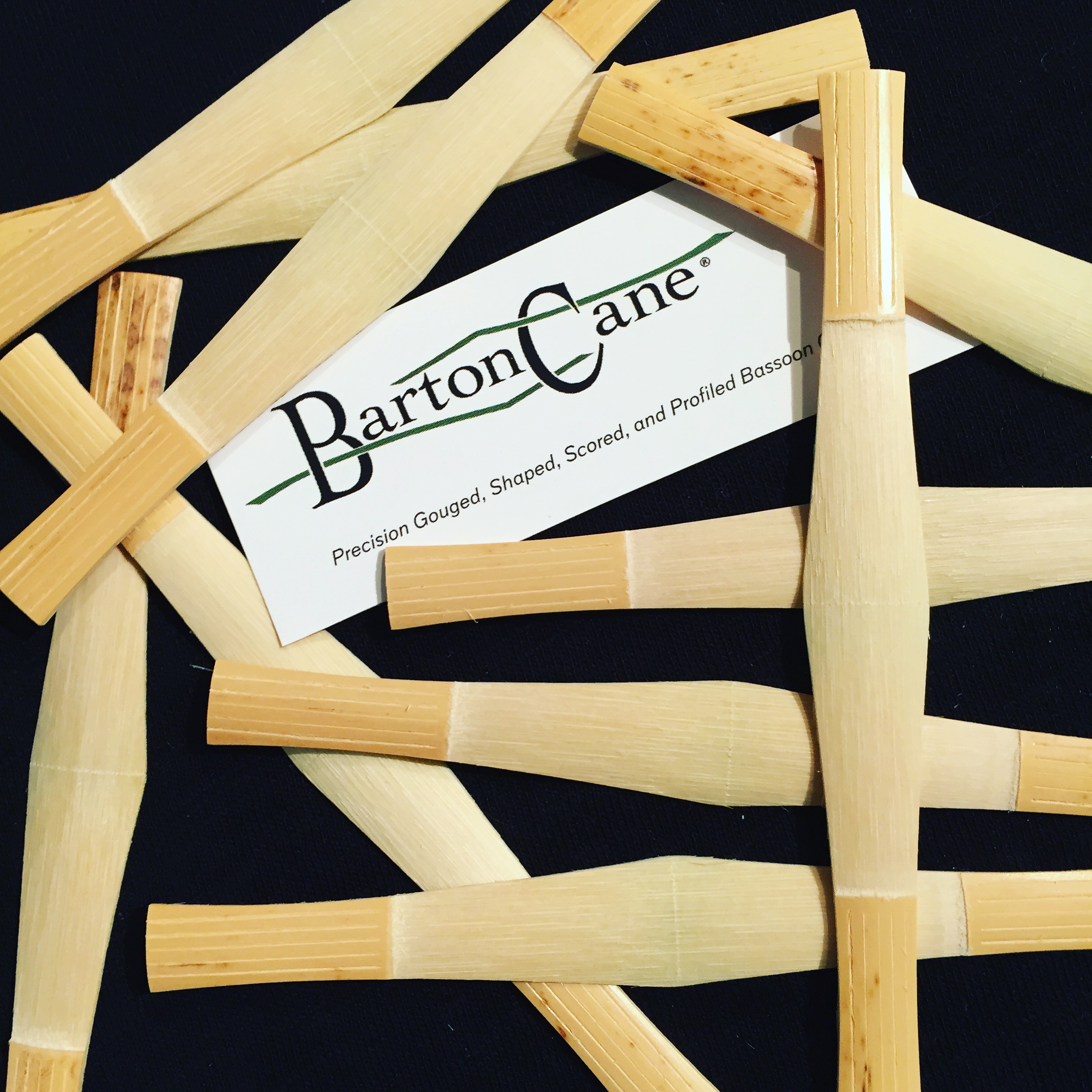 CANE REVIEW: GONZALEZ
