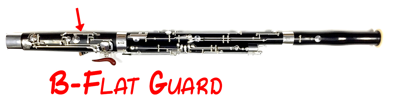 Mass Market BASSOONS: $5000 or Less